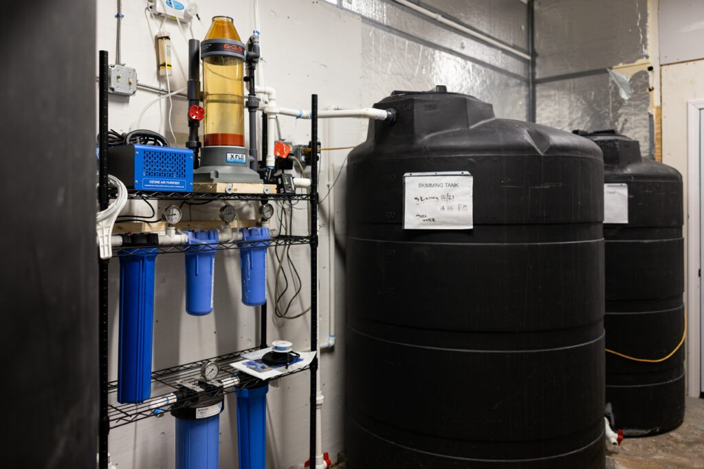 Seed Production Pathways to Scale: Water Processing | Getting Started: Hatchery Courses | Ocean ...